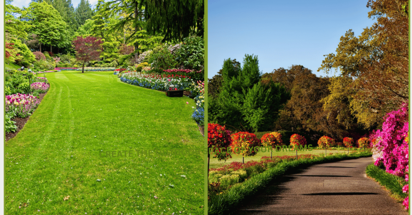 15 Hardy Outdoor Plants That Thrive All Year Round - Patch Plants